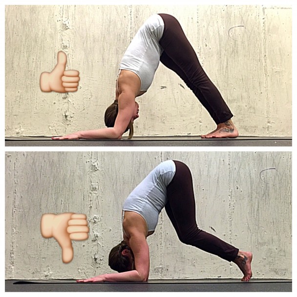 Stretch of the Week: Dolphin Stretch