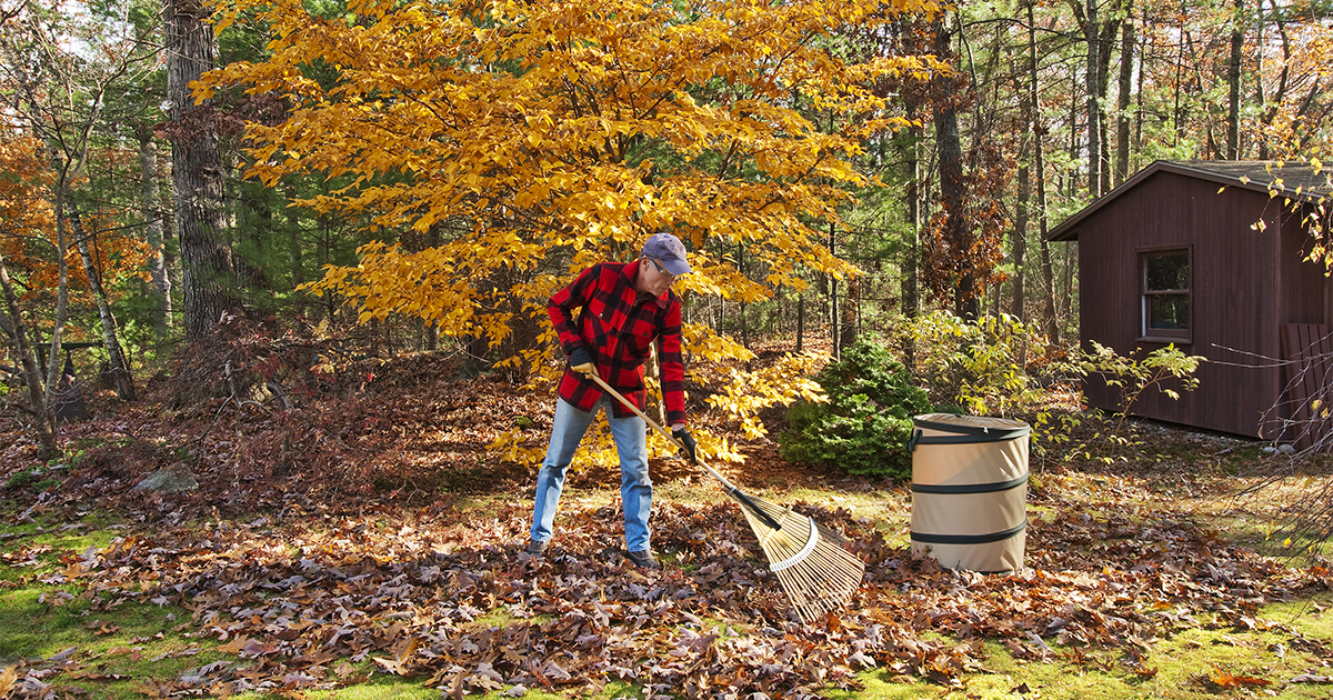 6 Stretches to Try Before Raking the Leaves - Athletico