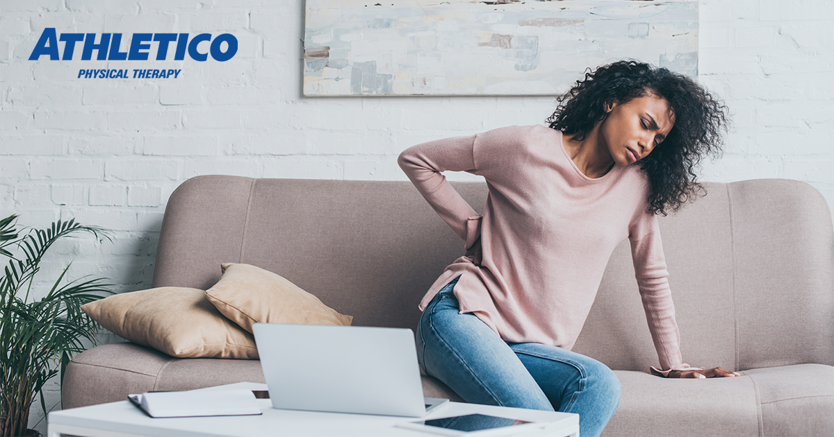 Breaking The Back Pain Cycle: The Science Behind Exercise And The Role ...