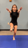 How To Stick the Landing: Landing Mechanics Training for Gymnasts ...